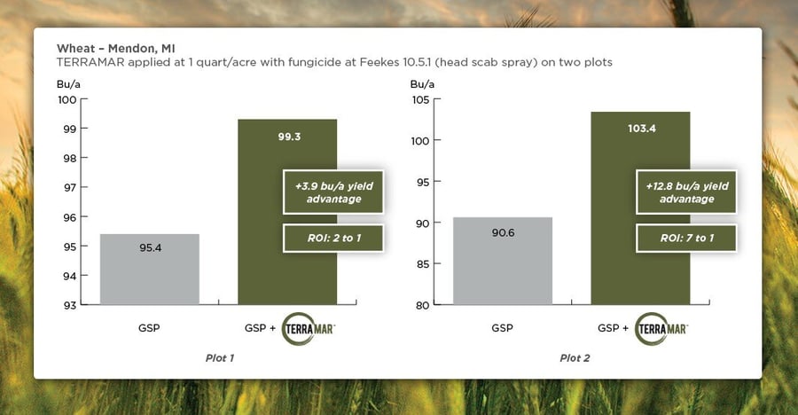 Enhancing Wheat Performance on Your Farm with TERRAMAR